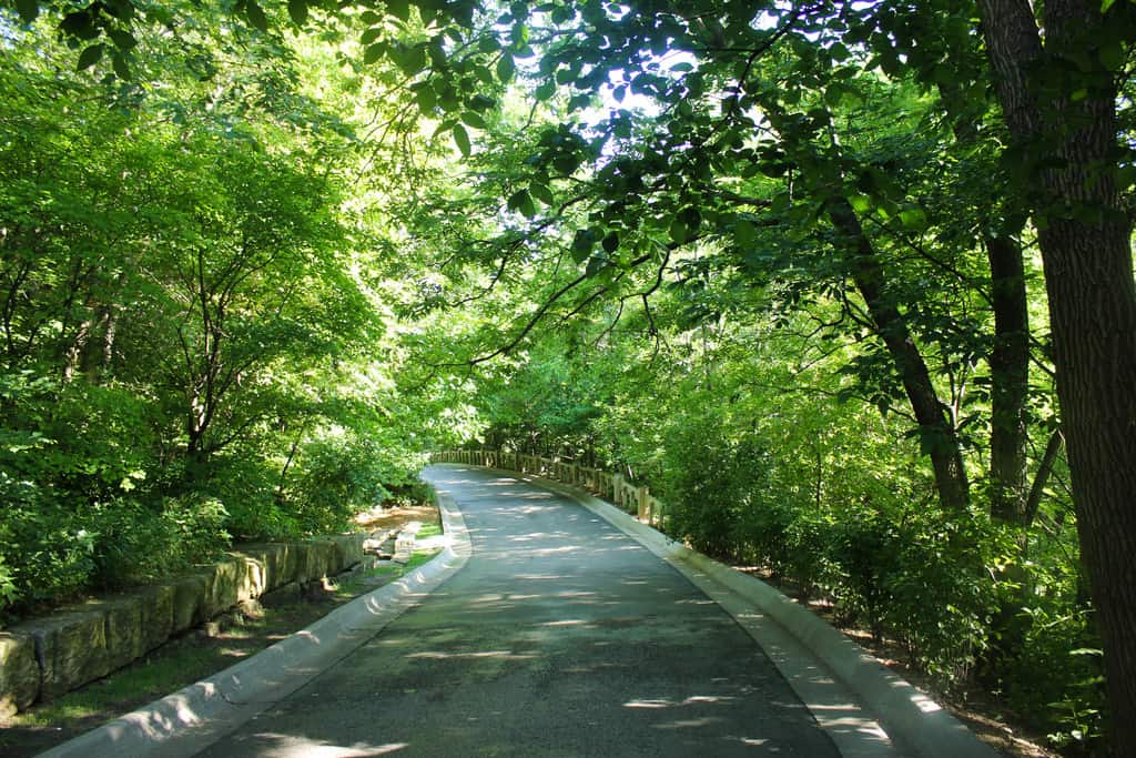 The City of Omaha: A guide for Nature, History and Food