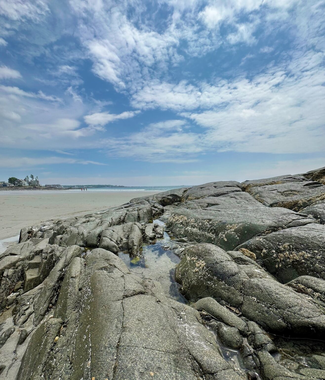 Camden, Maine's delights during shoulder seasons - Pure Wander