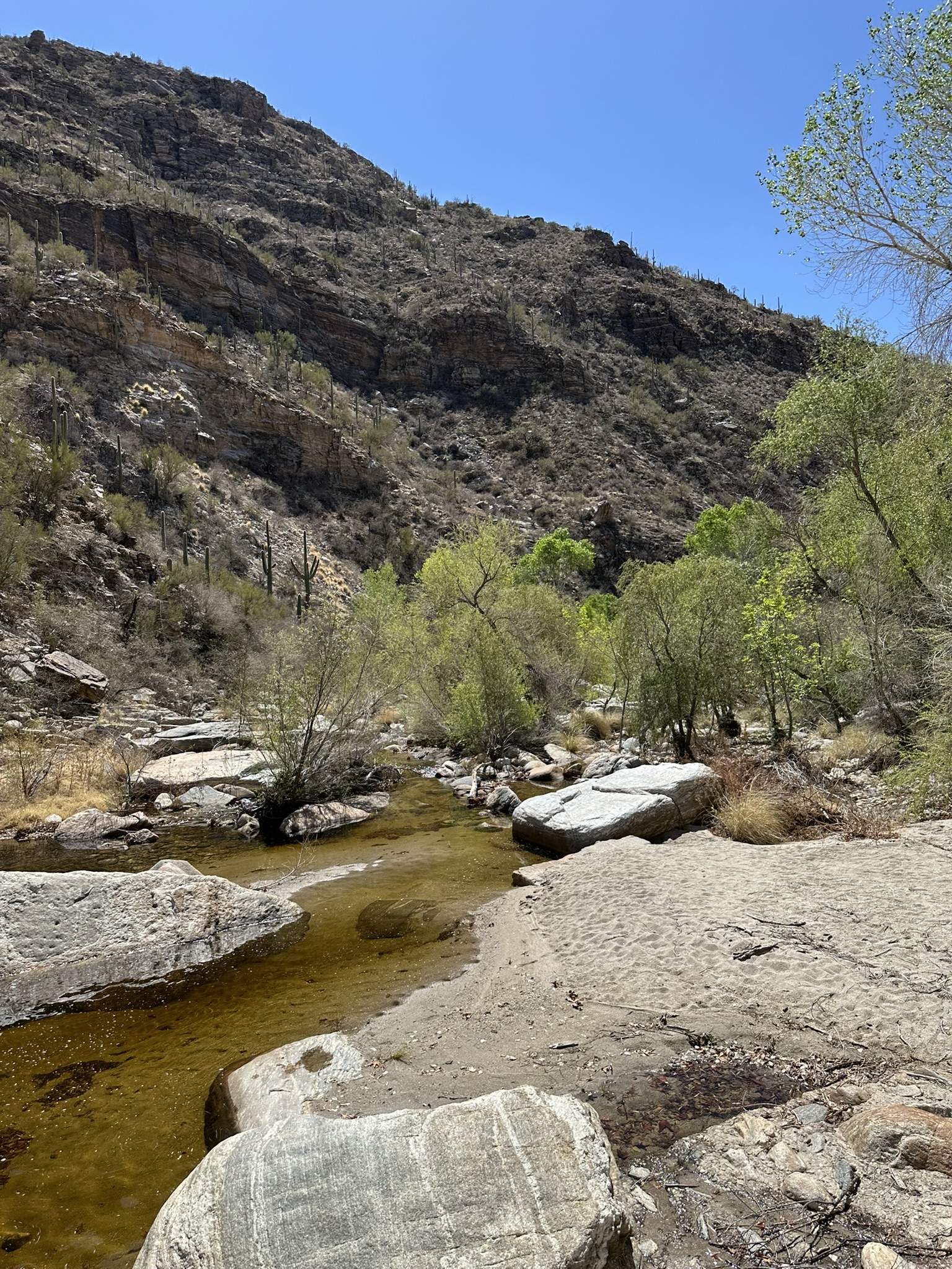 25+ Best Tucson Attractions & Things to Do (2026)