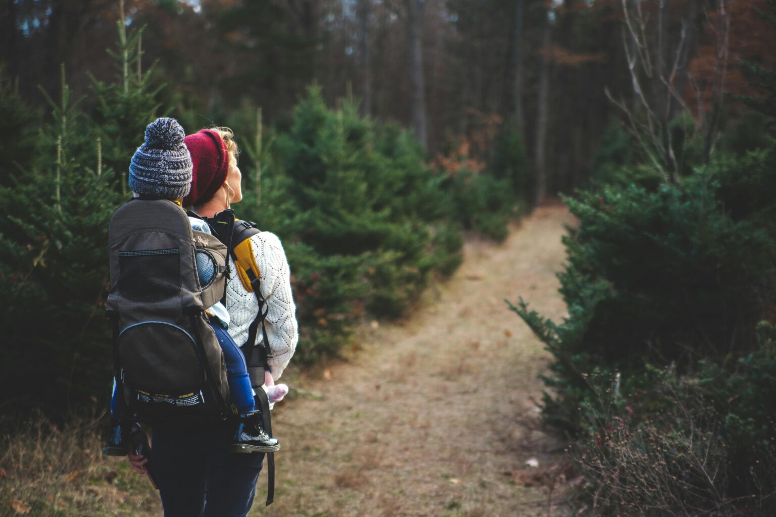 The Best Family Vacation Destinations - Pure Wander